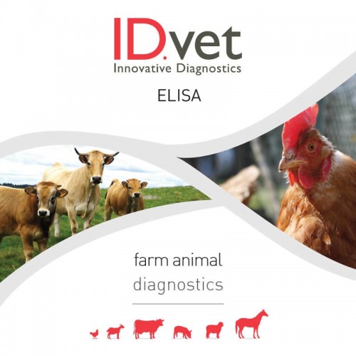 Innovative Diagnostics