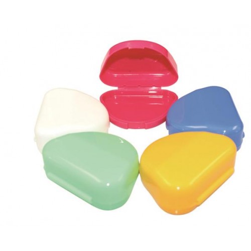 Denture container
