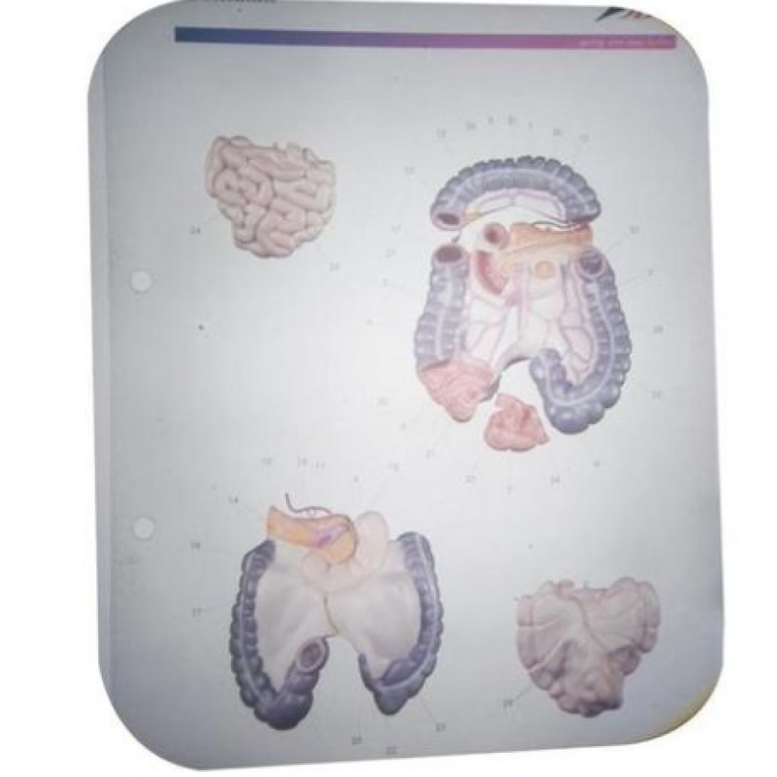 3B-Troso-Classroom-Set | ArkanLabs