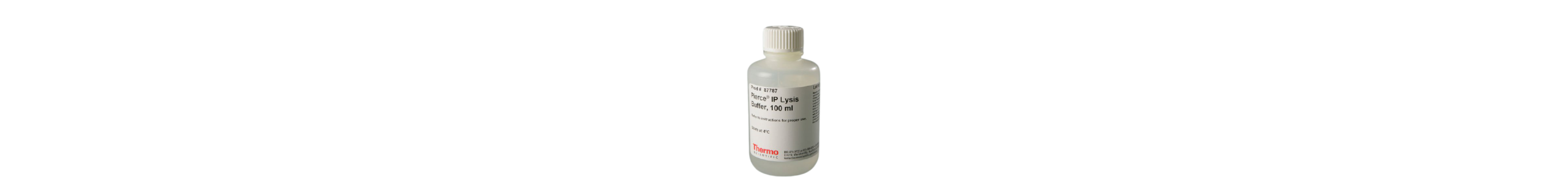 Cell Lysis Detergents