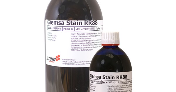 GIEMSA STAIN MODIFIED 1L UN 1230 3/PG 2 | ArkanLabs