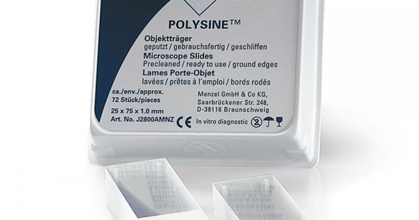 Polysine Adhesive Slides For Microscope | ArkanLabs