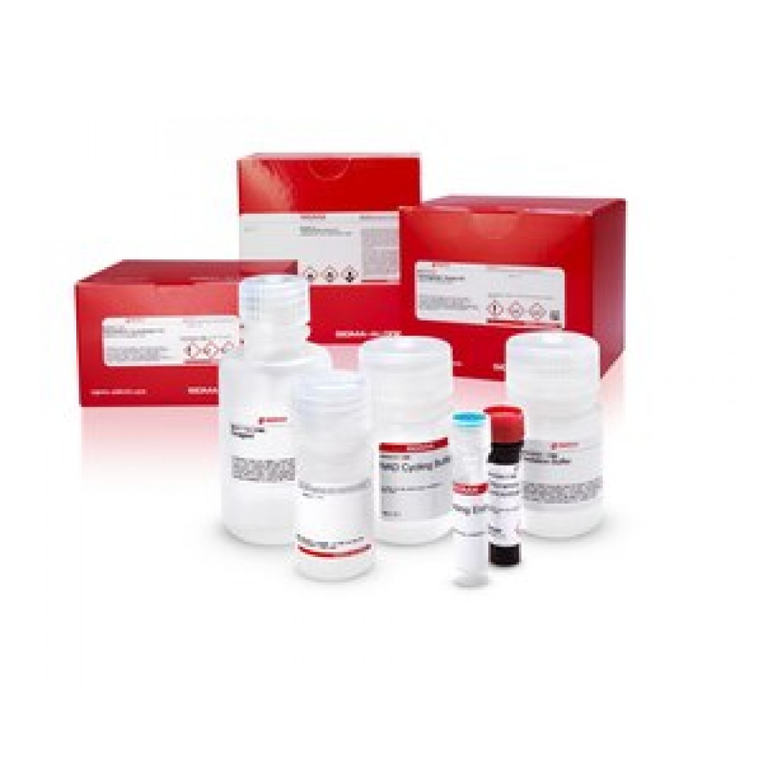 Triglyceride Quantification Colorimetric/Fluorometric Kit | ArkanLabs